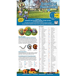 Beneficial Nematodes Heterohabditis bacteriophora HB (5 Million)