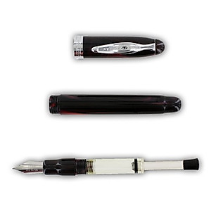 Noodler's Ink Ahab Flex Fountain Pen with Twist-Fill Piston, Stainless Steel Fine Nib, Cardnial Dark (15029)