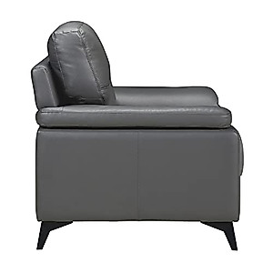 Lexicon Danica Top Grain Leather Loveseat, Dark Gray