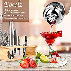 Bartender Kit Cocktail Shaker Set with Stand Bar Tool Bar Set for Drink Mixing Home Bartending Kit 11-Piece Bar Cart Accessories: Martini Shaker, Mixer Spoon, Jigger, Muddler, Strainer & Recipes Gifts