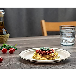 Comfy Package [Case of 500 9 Inch Paper Plates, 100% Compostable Plates Heavy-Duty - Kraft Biodegradable Plates, Disposable Sugarcane Paper Plates - Brown Unbleached