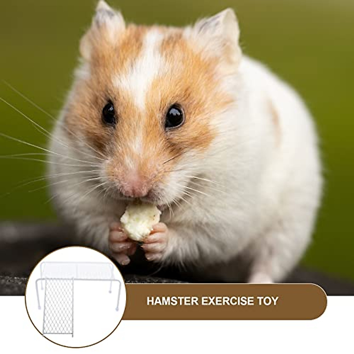 PATKAW Hamster Cage Platform Stainless Steel Rutin Chicken Rack Wire Chicken Coop Platform with Climbing Ladder for Mouses Rat Gerbil Dwarf Hamster