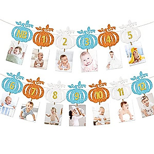 Our Little Pumpkin is Turning One Decorations Pumpkin First Birthday Decorations Girl 1ST Birthday Photo Banner Little Pumpkin Banner Fall Birthday Party Decorations