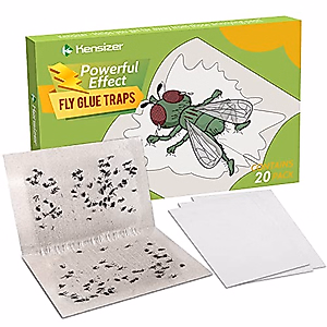 Kensizer 20-Pack Fly Paper Trap, Fruit Fly Catcher Board, Bug Sticky Glue Paper Trap for Houseflies and Blowflies Indoor and Outdoor