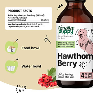 Hawthorn Berry Tincture for Dogs - Herbal Heart Supplements - Antioxidant w/Hawthorn Berry for Dogs - Liquid Dog Food Supplements for Happy Pets - No Preservatives & Artificial Colors - 4 oz