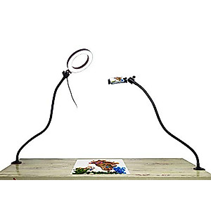 Webcam Streaming Light, Webcam Stand with 6'' Ring Light, USB Webcam Light Mount Kit for Logitech Webcam C920s C920 C930e C922x C930 C922 C925e C615 Brio - Dual 25 inch Arm Stand