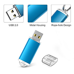 RAOYI 10 Pack 1GB 1G USB Flash Drive USB 2.0 Memory Stick Bulk Thumb Drive Pen Drive Blue
