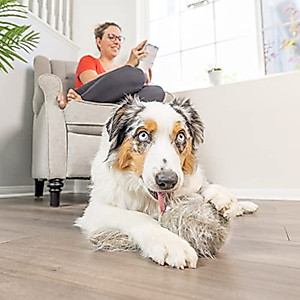 Hyper Pet Doggie Tail Interactive Plush (Wiggles, Vibrates, and Barks – Dog Toys for Boredom and Stimulating Play)