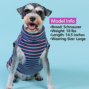 KYEESE 2Pack Dog Sweater Soft Dog Clothes Warm Dachshund Clothes Turtleneck Dog Coats Dog Sweaters for Small Dogs Girl Pullover Small Dog Sweaters Stretchy Dog Sweatshirt