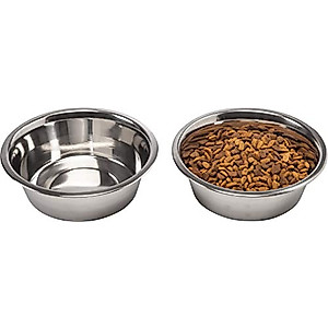 IRIS USA 47Lb / 45QT Large Elevated Feeder with WeatherPro Airtight Pet Food Storage Container, Dry Food Bin with Removable Stainless Steel Bowls Large Dog At Home Camping Roadtrip , Smoke