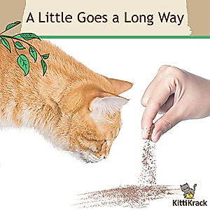 TWINCRITTERS KittiKrack Organic Silvervine Catnip Powder Substitute for Cats & Kittens | All-Natural Wild Harvested Silvervine Powder | 3 Individual 5-Gram KittiKrack Powder Packs | 15g