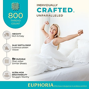 THREAD SPREAD 100% Egyptian Cotton Pillow Cases - 800 Thread Count Pillow Cases Queen/Standard Size Set of 2, Soft & Breathable Extra Long Staple Sateen Weave Cotton Pillow Covers for Bed - Silver