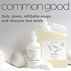 Common Good, Plant-Based with Pure Essential Oil Scents, Biodegradable Formula, No Parabens or Sulfates hand soap, 12 FZ, White, Fl Oz (Model: ED01HAND12B)