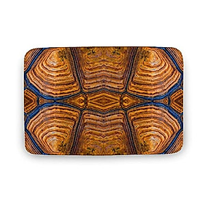 Turtle Carapace Bathroom Rug Mat, Extra Soft and Absorbent Microfiber Bath Rugs, Non-Slip Plush Bath Carpet, Bath Mats for Bathroom Floor, Tub and Shower 16x24 Inches