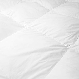 BioPEDIC Clean 2.5-Inch Fiberfill Mattress Topper Odor and Anti-Stain Ultra-Fresh Treated Fabric, Twin, White
