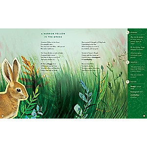 The Illustrated Emily Dickinson: 25 Essential Poems (The Illustrated Poets Collection, 1)