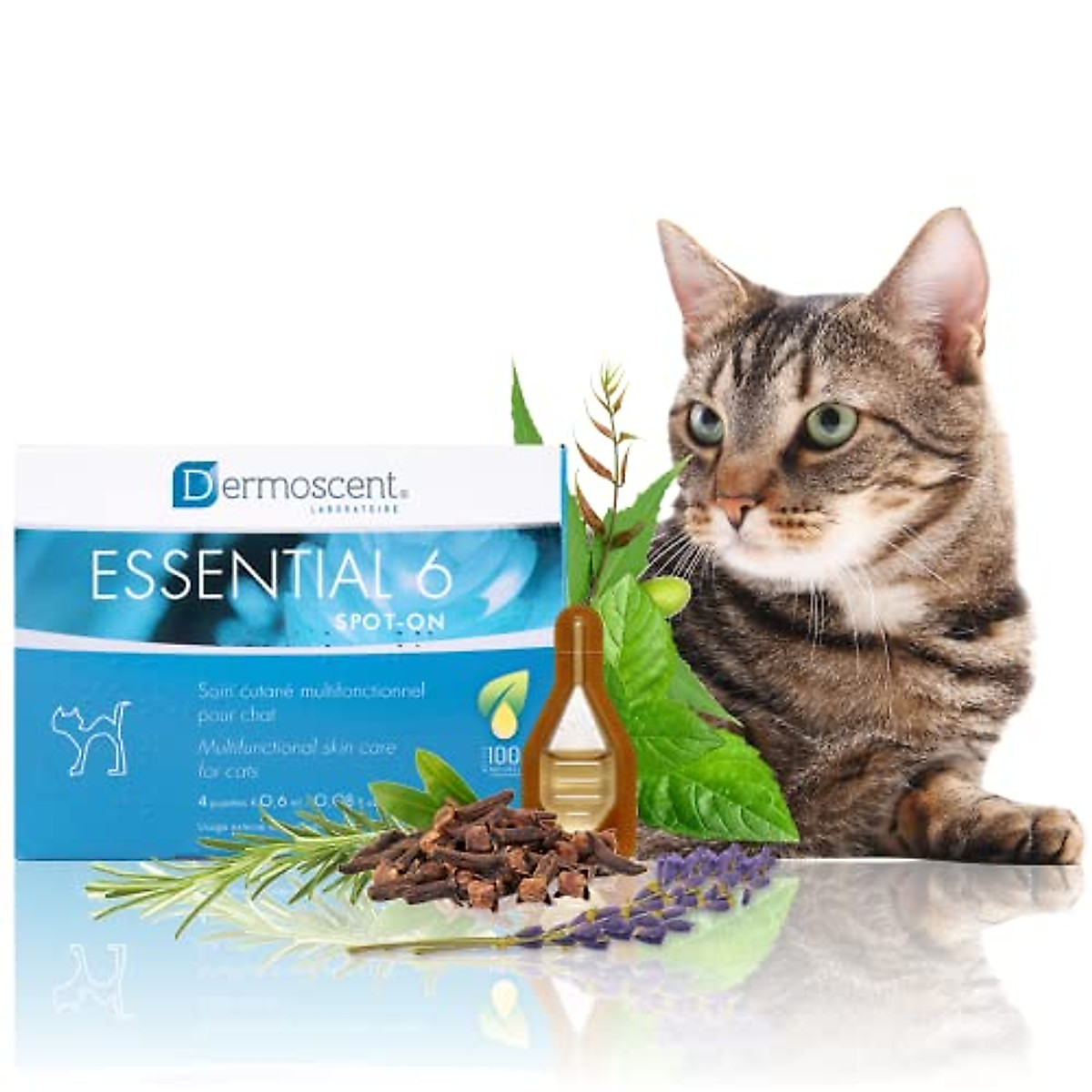 Essential 6 spot-on for Cats - Skin Care for Dandruff Dry or Oily Skin & Hair Loss - Natural Essential Oils & Fatty Acids - Healthy Skin & Coat - 4 Pipettes of 0.6 ml / 0.08 fl. oz