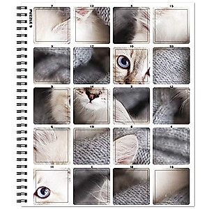 Brain Games - Sticker by Number: Cats & Kittens (Easy - Square Stickers): Create Beautiful Art With Easy to Use Sticker Fun!