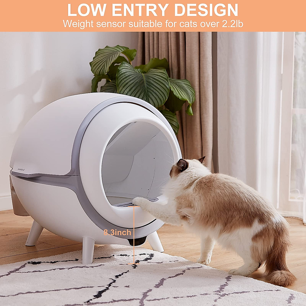 Self-Cleaning Cat Litter Box, FRAPOW No Scooping Automatic Cat Litter Box Safety Protection Extra Large Cabin Weight Sensor APP Control Timer Smart Cat Litter Box Washable Cleaning Cabin