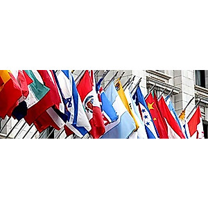 Annin Flagmakers Ukraine Flag USA-Made to Official United Nations Design Specifications, 4 x 6 Feet (Model 221646)