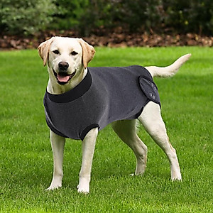 IDOMIK Dog Recovery Suit for Male & Female,E-Collar Cone Alternative,Anti Licking Dog Surgical Onesie with Pee Hole,Breathable Dog Surgery Suit for Spay,Weaning,Skin Problems,Dog Surgical Suit, M