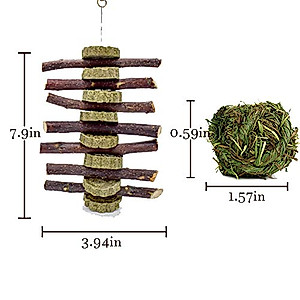 Tfwadmx 3 Pcs Rabbit Chew Toys Natural Timothy Grass Balls Rabbit Organic Apple Wood Sticks Improves Dental Health for Chinchilla Rat Guinea Pig Hamsters Gerbil