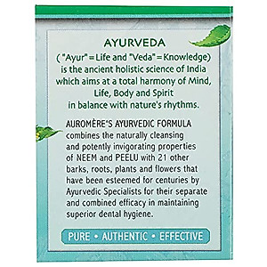 Ayurvedic Herbal Toothpaste in a Jar, Fresh Mint (4.16 oz) (Pack of 1 (4.16 oz))