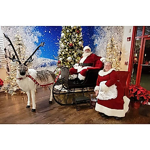 LFEEY 20x10ft Dreamy Forest Snowflake Background Winter Alps Snowy Landscape Photography Backdrop Falling Snow Covered Pine Tree Fir Mountain Snowfield Christmas New Year Holiday Studio Vinyl Props