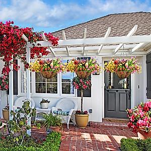 Qusuxi 4 Pack 8 Inch Hanging Baskets for Plants Outdoor Metal Hanging Planter Hanging Flower Baskets with Coco Fiber Liners Chain Round Wire Plant Holder Hanging Flower Pots(Watermelon)