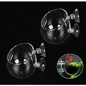 Crystal Glass Aquatic Plant Cup Pot Holder,Fashionclubs Aquarium Tank Live Plant Glass Pot Red Shrimp Holder with 2 Suckers,Fish Tank Aquascape Decor,2-Pack