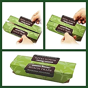 Greener Mindset Roach Traps - 12 Indoor Sticky Glue Catchers - Beetles, Spiders, Scorpions, Ants, Centipedes, and Cockroach Traps