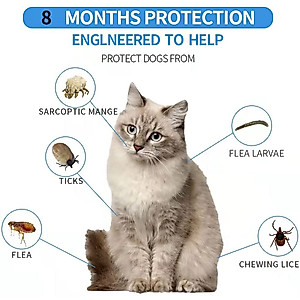 Advanllent Flea Collar for Cats, Flea and Tick Collars for Cats and Kittens, 8 Month Protection, Gray