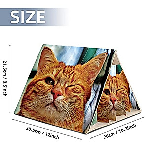 Y-DSIWX Guinea Pig Hideout Cozy Hamster House Cave for Bunny Chinchilla Hedgehog Small Animal Cute Wink Cat