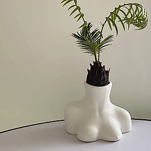 Lemonadeus Feminine Body Vases, Feminine Curve Vase Ceramic Charming Breast Vases for Modern Bohemian Home Decoration Bust Pot Body Vase Female Form Flower Vases (white)
