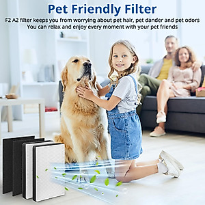 F2 A2 True HEPA Replacement Filter Compatible with 3M Filtrete Room Air Purifier Models FAP-C02WA-G2 FAP-C03BA-G2 FAP-T03BA-G2 FAP-SCO2N FAP-CO2-A2 FAP-CO3-A2 FAP-TO3-A2, 2 HEPA + 2 Carbon Filters