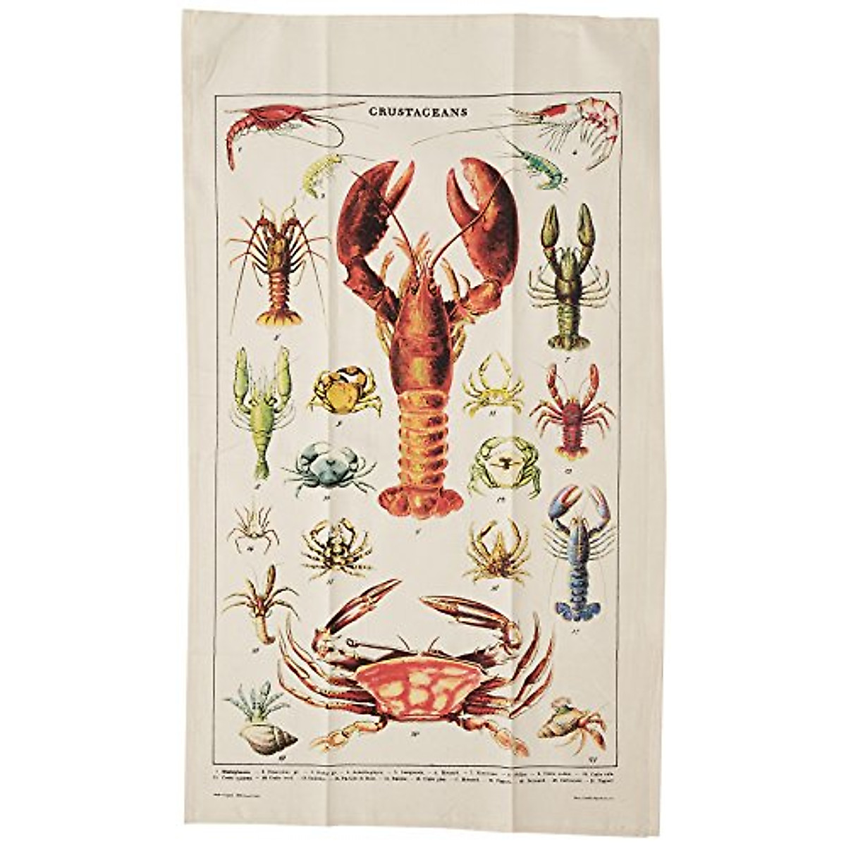 Cavallini Papers Curstaceans Vintage Crustaceans Cotton Tea Towel