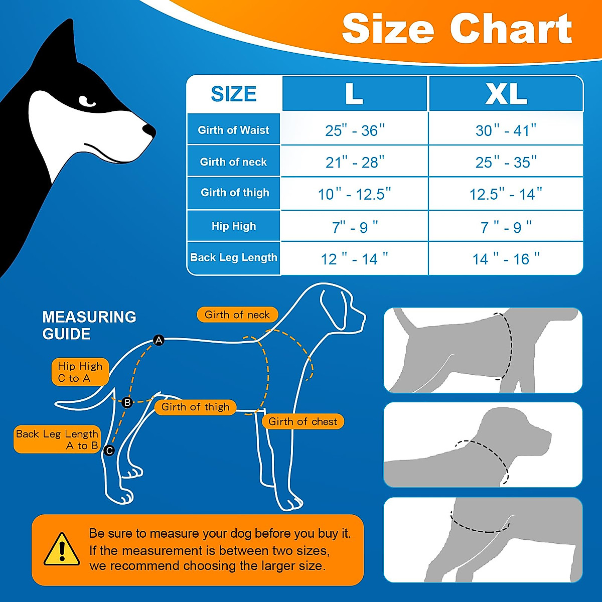 CHAMIN Dog Leg Braces for Hind Leg, Dog Acl Knee Brace Support for Cruciate Ligament Injury，Osteoarthritis, Luxating Patella, Muscle Sore,et(Extra Large)