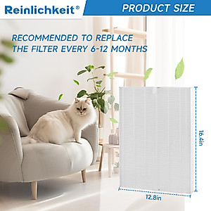 Reinlichkeit 115115 HEPA Filter Replacement for Filter A Size 21, Compatible with Winx Plasmawave C535, 5300, 5300-2, 6300, 6300-2, 5000, 5000B, 9000, 9800, AM90, P300, C909, 4 Pack