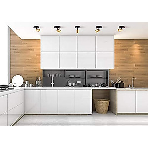 VidaLite LED Monopoint Sconce Adjustable Flush Mount Spot Light