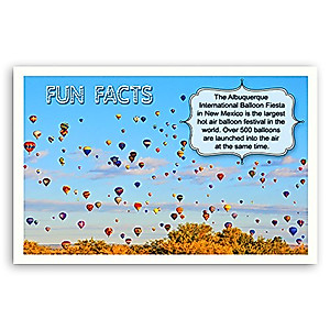 FUN FACTS postcard set of 20. Post card variety pack with trivia and fun fact theme postcards. Made in USA.