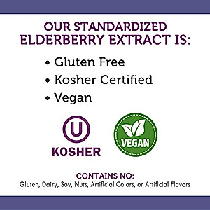 Nature's Way Sambucus Sugar-Free Elderberry Syrup, Traditional Immune Support*, 8 Fl Oz.