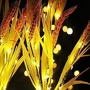 HOMEGIFT Solar Decorative Lights Outdoor, 2-Pack Solar Powered Waterproof Garden Pathway Lights for Patio, Lawn, Garden, Yard Decoration