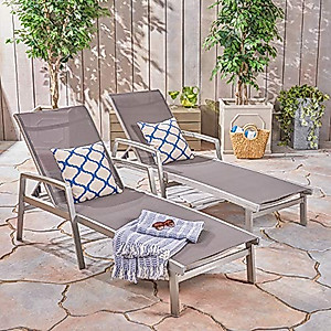 Christopher Knight Home Joy Outdoor Mesh and Aluminum Chaise Lounge (Set of 2), Gray