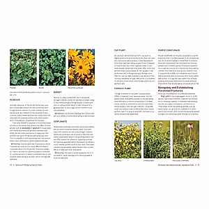 Managing Pasture: A Complete Guide to Building Healthy Pasture for Grass-Based Meat & Dairy Animals