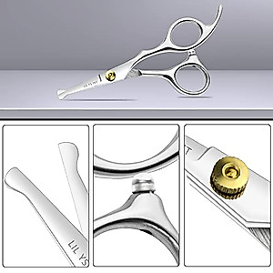 LILYS PET 5.0" Right-Handed Round-Tip Pet Grooming Scissors, Stainless Steel Small Ball Tip for Nose Hair,Ear Hair,Face Hair,Paw Hair for Dogs and Cats…