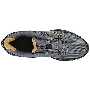 Saucony Men's Grid Excursion TR12 Trail Running Shoe, Silver | Gold, 10 W US