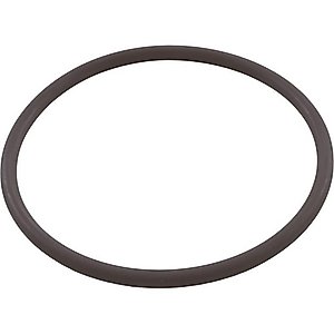 Zodiac Jandy R0586300 Tri-Lobe O-Ring