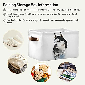Gougeta Foldable Storage Basket with Handle, Cute Siberian Husky Dog Rectangular Canvas Organizer Bins for Home Office Closet Clothes Toys 1 Pack