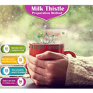 Cardo Mariano Herb, Milk Thistle Herb 2 oz, 100% PURE & NATURAL Cardo Marin, Cardo Mariano Tea, Milk Thistle Loose Tea, Resealable Bag, 2 oz, Milk Thistle Herbal, Product From Mexico
