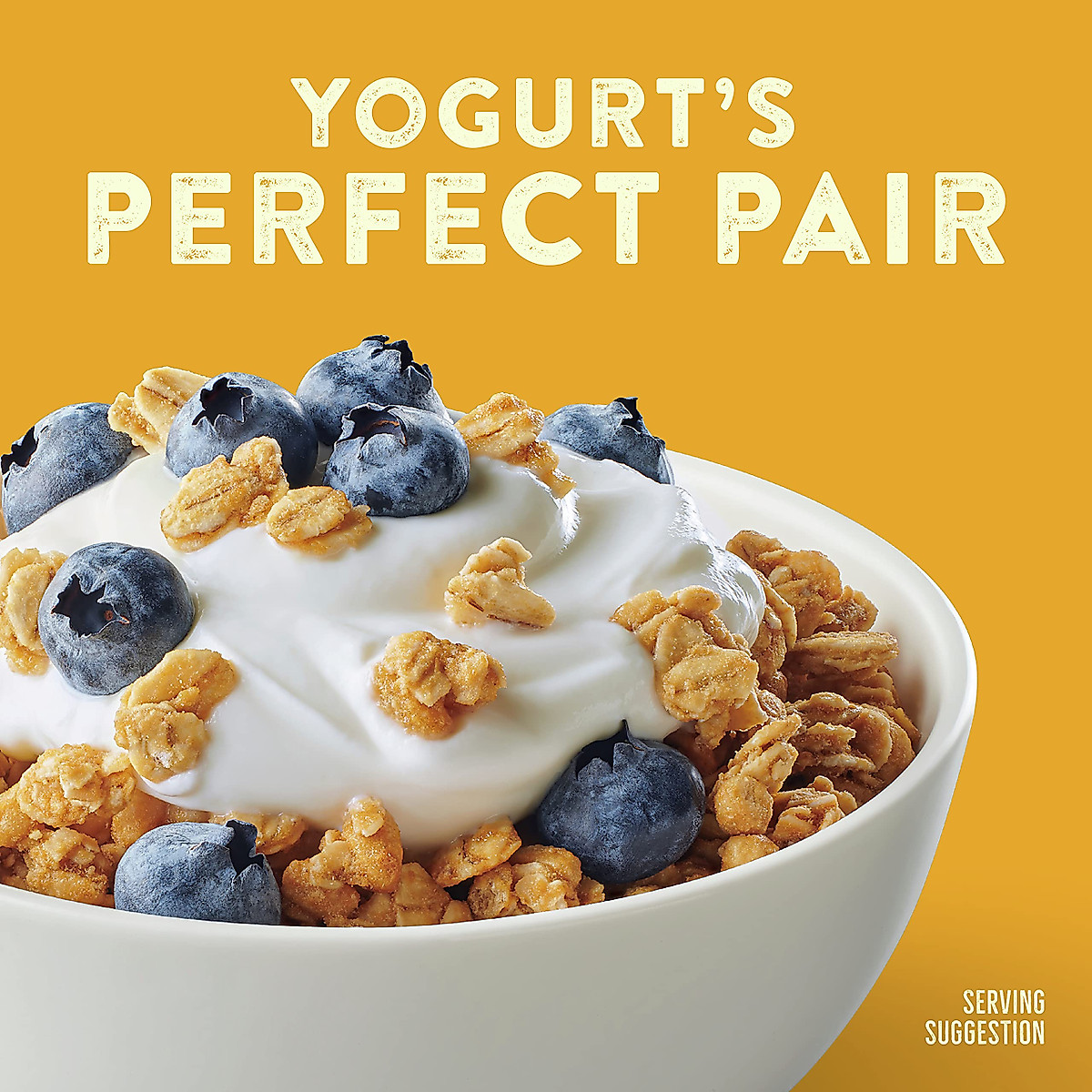 Nature Valley Protein Granola, Oats and Honey, Family Size, Resealable Bag, 17 OZ